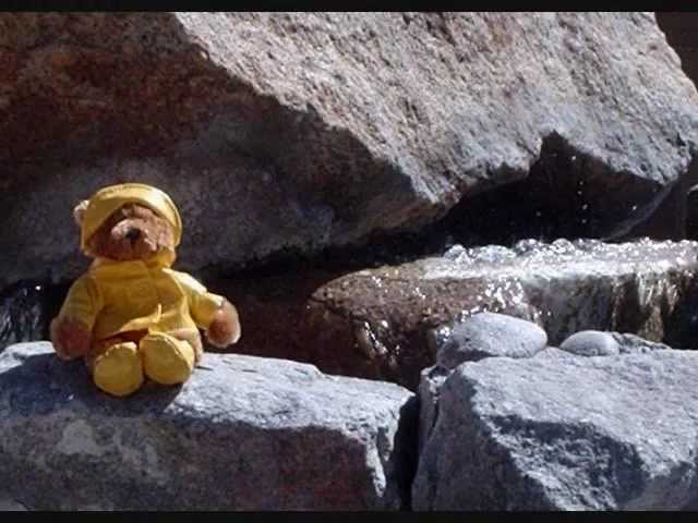 Teddy Bear Picnic Activities For Kindergarten teddy-bear-picnic-activities-for-kindergarten