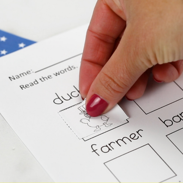 Duck For President Lesson Plan and Activities