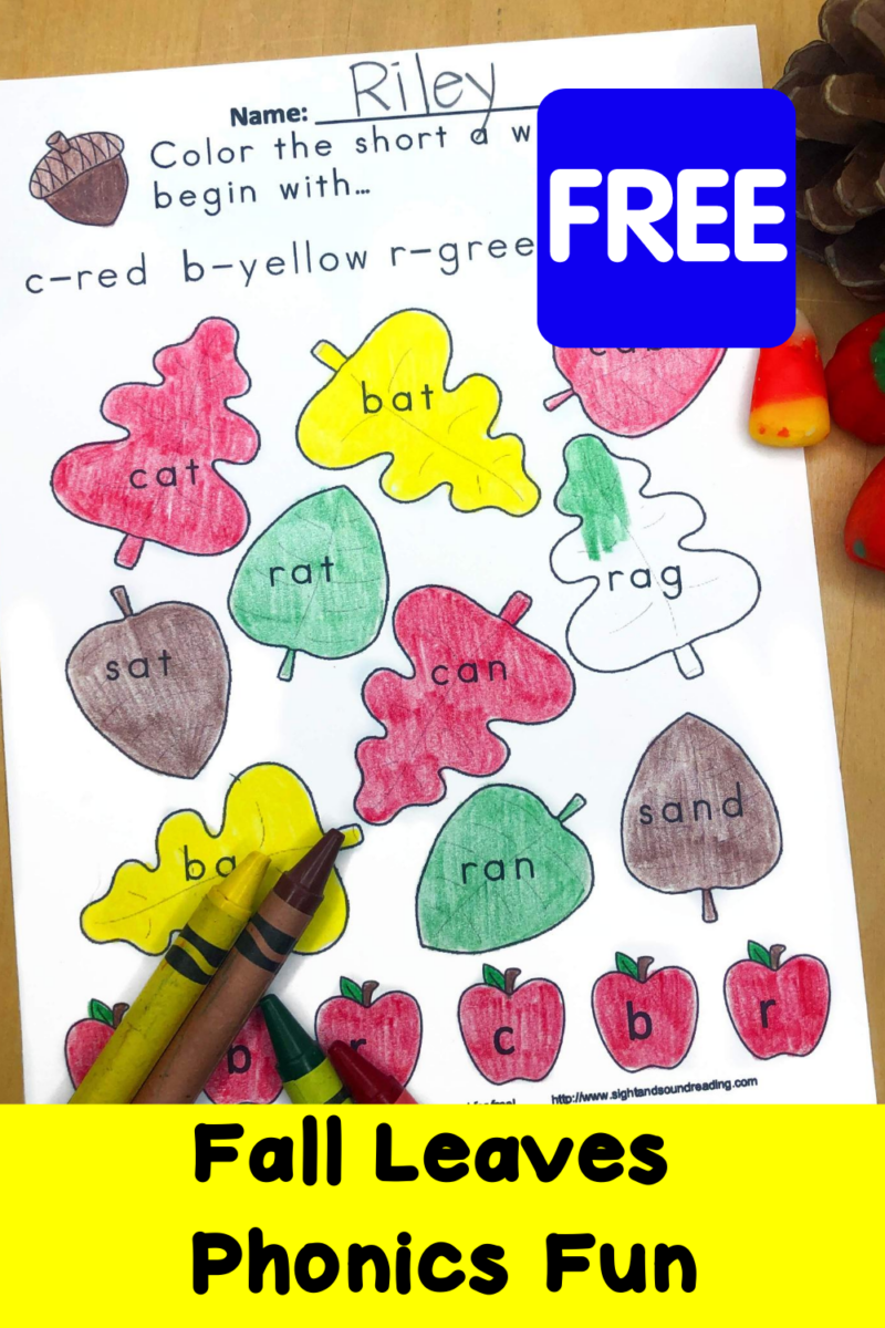 Fall Leaves Phonics Fun | Mrs. Karle's Sight and Sound Reading