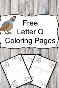 3 Letter Q Coloring Pages - Easy Download! | Mrs. Karle's Sight and ...