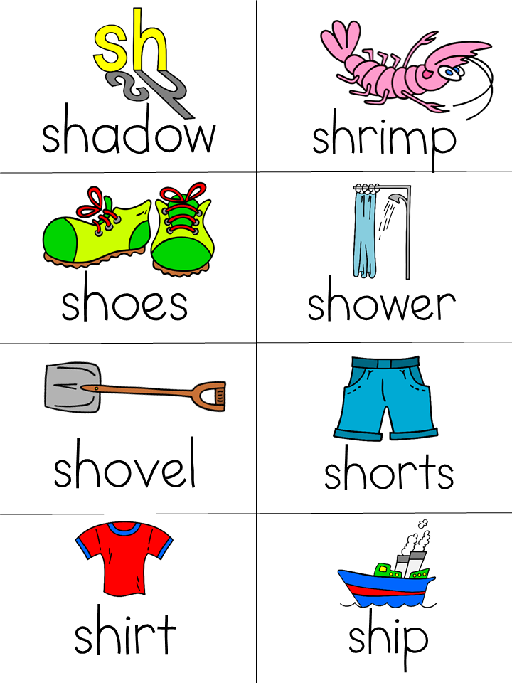 Sh Shark Digraph Game